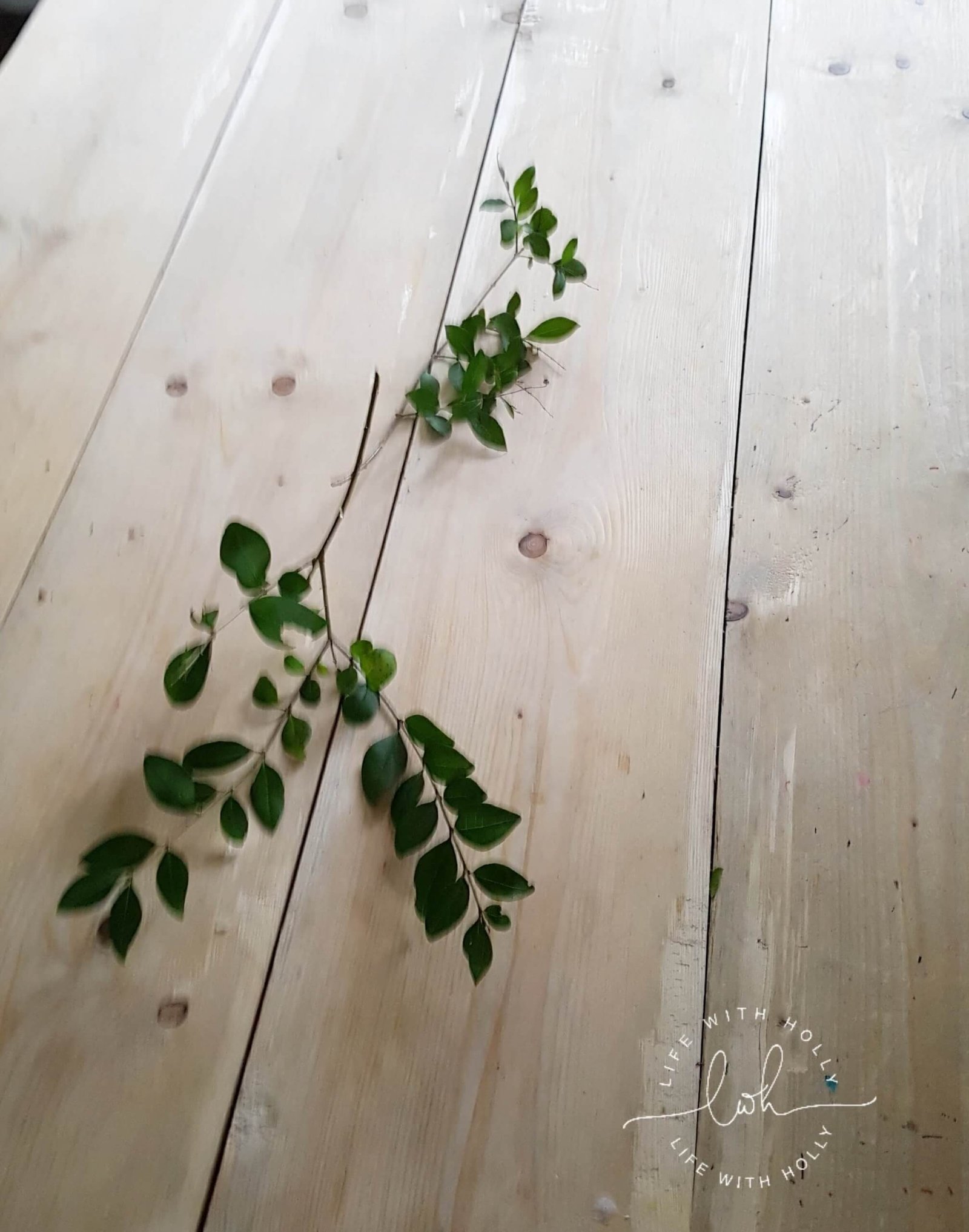 Easy Rustic Foliage Table Decoration Tutorial - Life with Holly